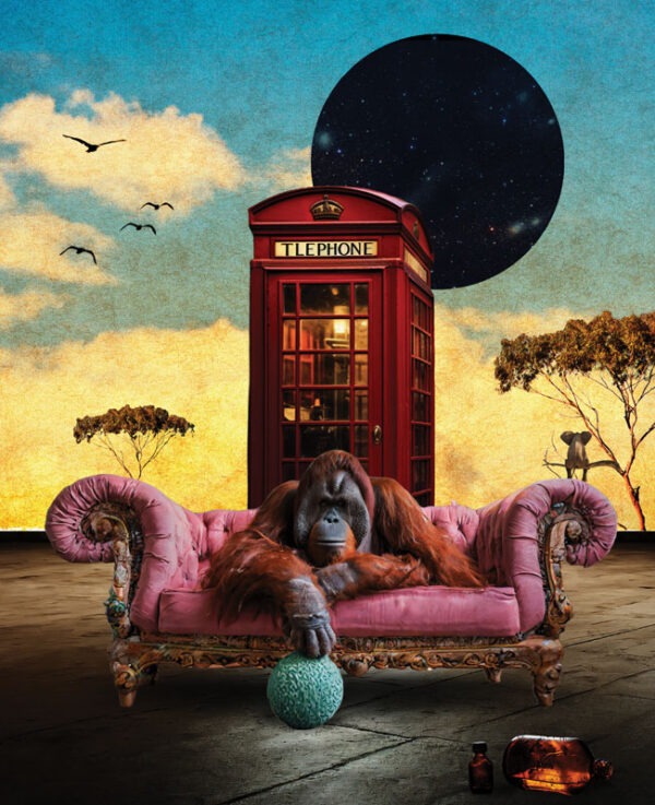 David Hopkins Collage Artist – Collage art designer