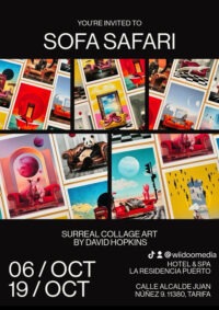 David Hopkins Collage Artist – Collage art designer